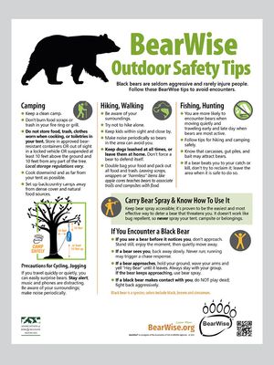 BearWise Outdoor Safety Card - BearWise Educational Materials: Tools & Resources for Bear Safety ...