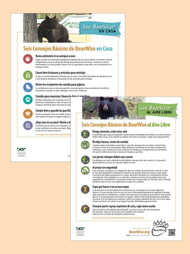 BearWise Basics in Spanish - BearWise Educational Materials: Tools & Resources for Bear Safety ...