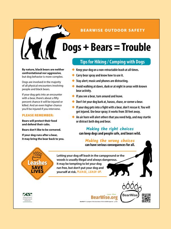 Fact Sheets, Checklists, Posters - BearWise Educational Materials ...