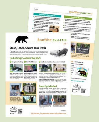 Six At-Home BearWise Basics - BearWise Educational Materials: Tools ...