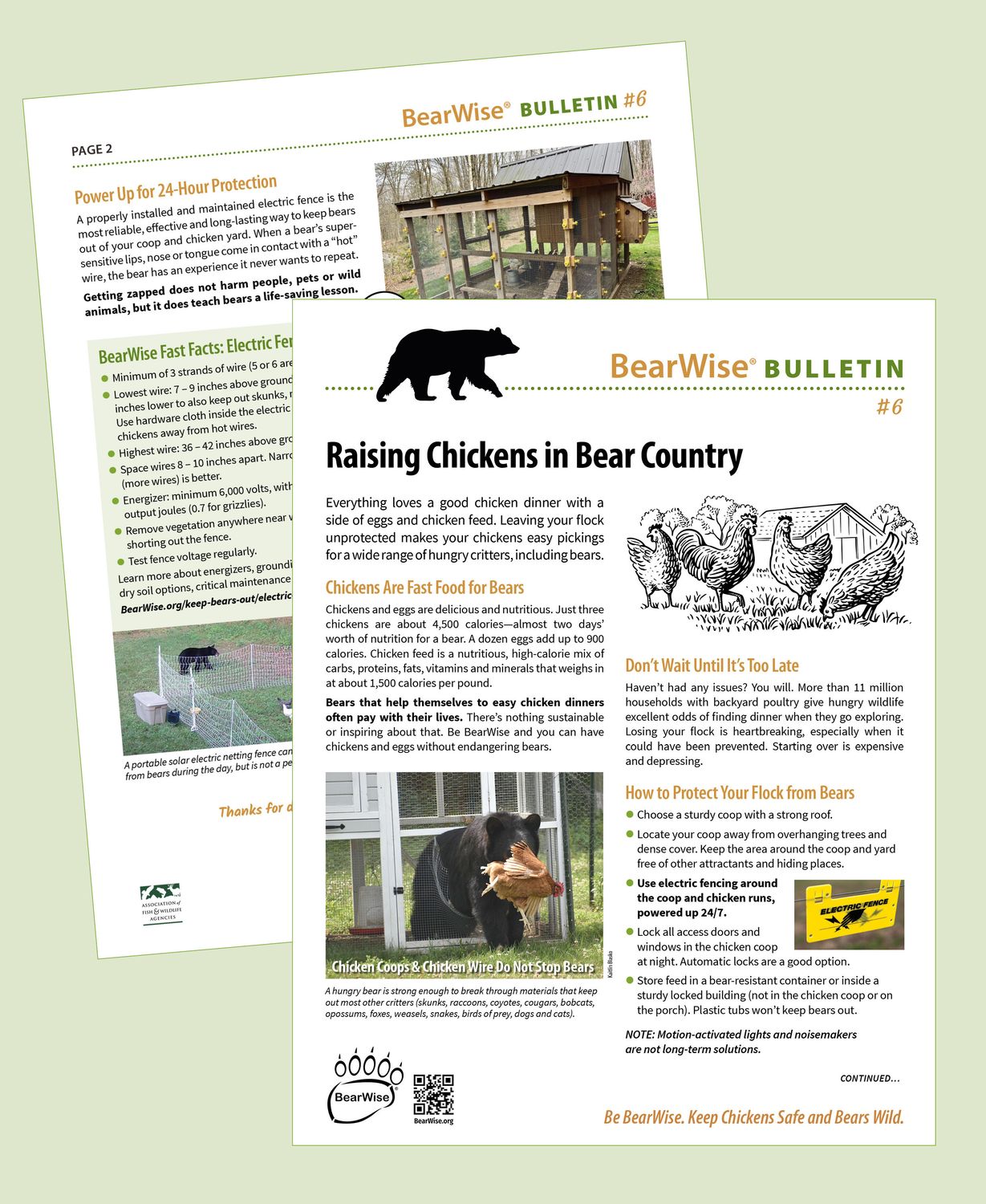 Raising Chickens in Bear Country (BearWise Bulletin #6) - BearWise ...