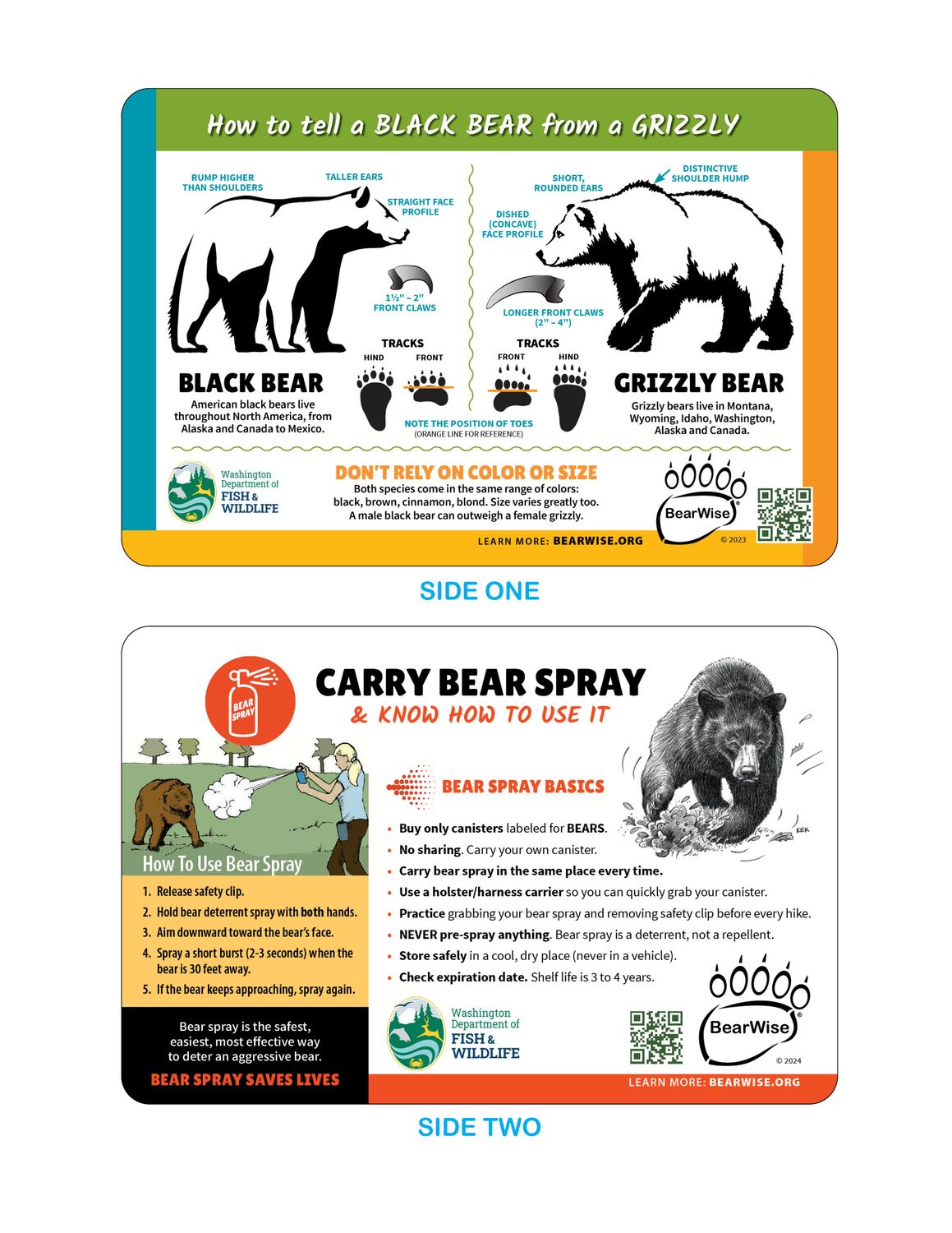 Pocket Cards: Bear I.D. / Bear Spray Basics - BearWise Educational ...