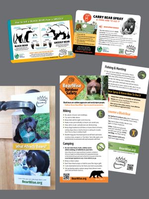 BearWise Educational Materials: Tools & Resources for Bear Safety - BearWise