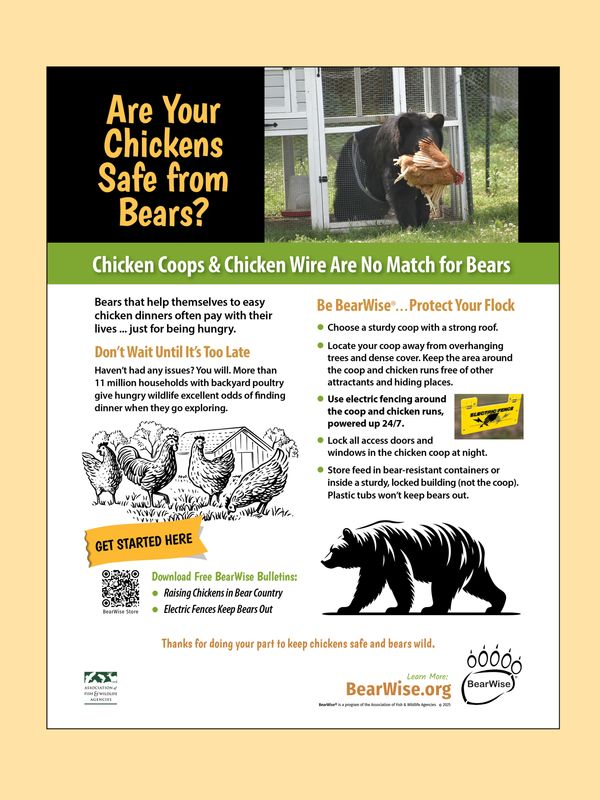 Fact Sheets, Checklists, Posters - BearWise Educational Materials ...
