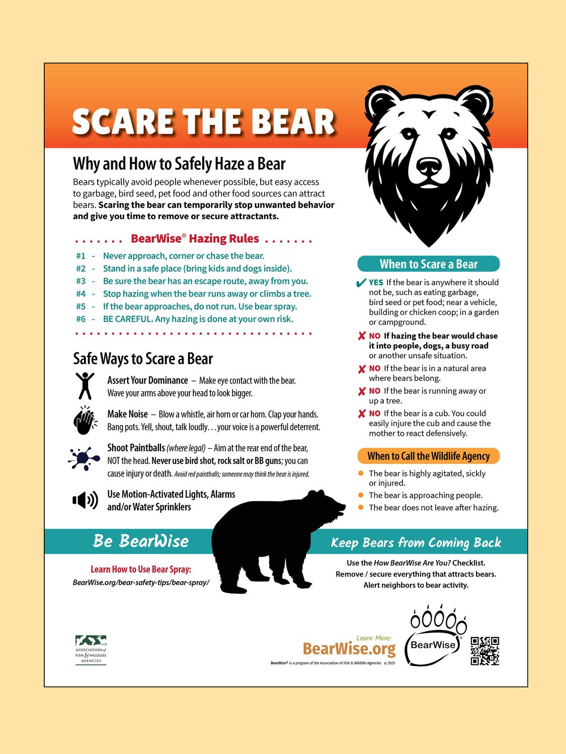 Scare the Bear - BearWise Educational Materials: Tools & Resources for ...