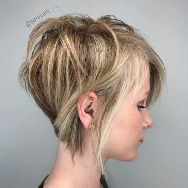 Inverted Pixie Bob
