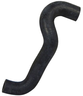Radiator Hoses