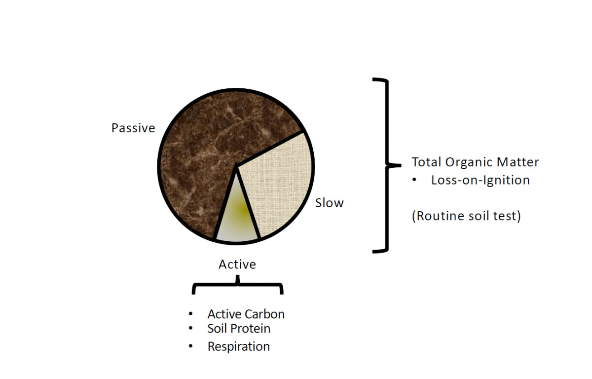 Total Organic Matter - by LOI