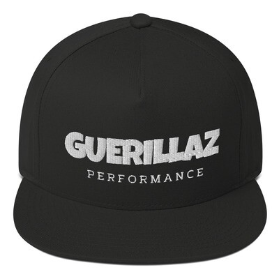 Guerillaz Performance