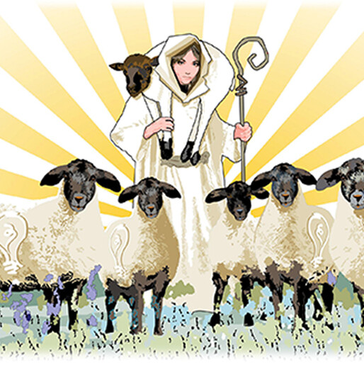 Idea Shepherding Series | Candace Long