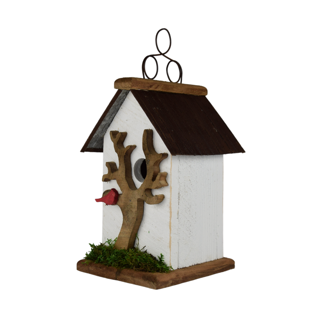 #75 – Catalog – Nature Creations