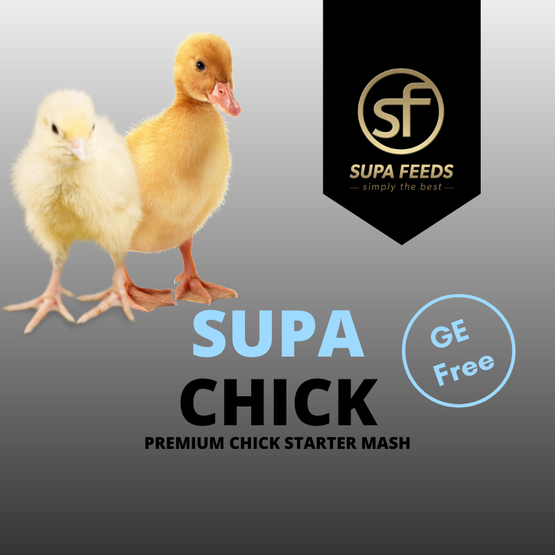 Supa Chick 5kg