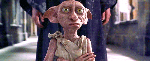 DOBBY