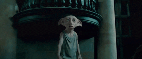 DOBBY