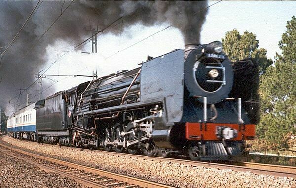 SAR STEAM