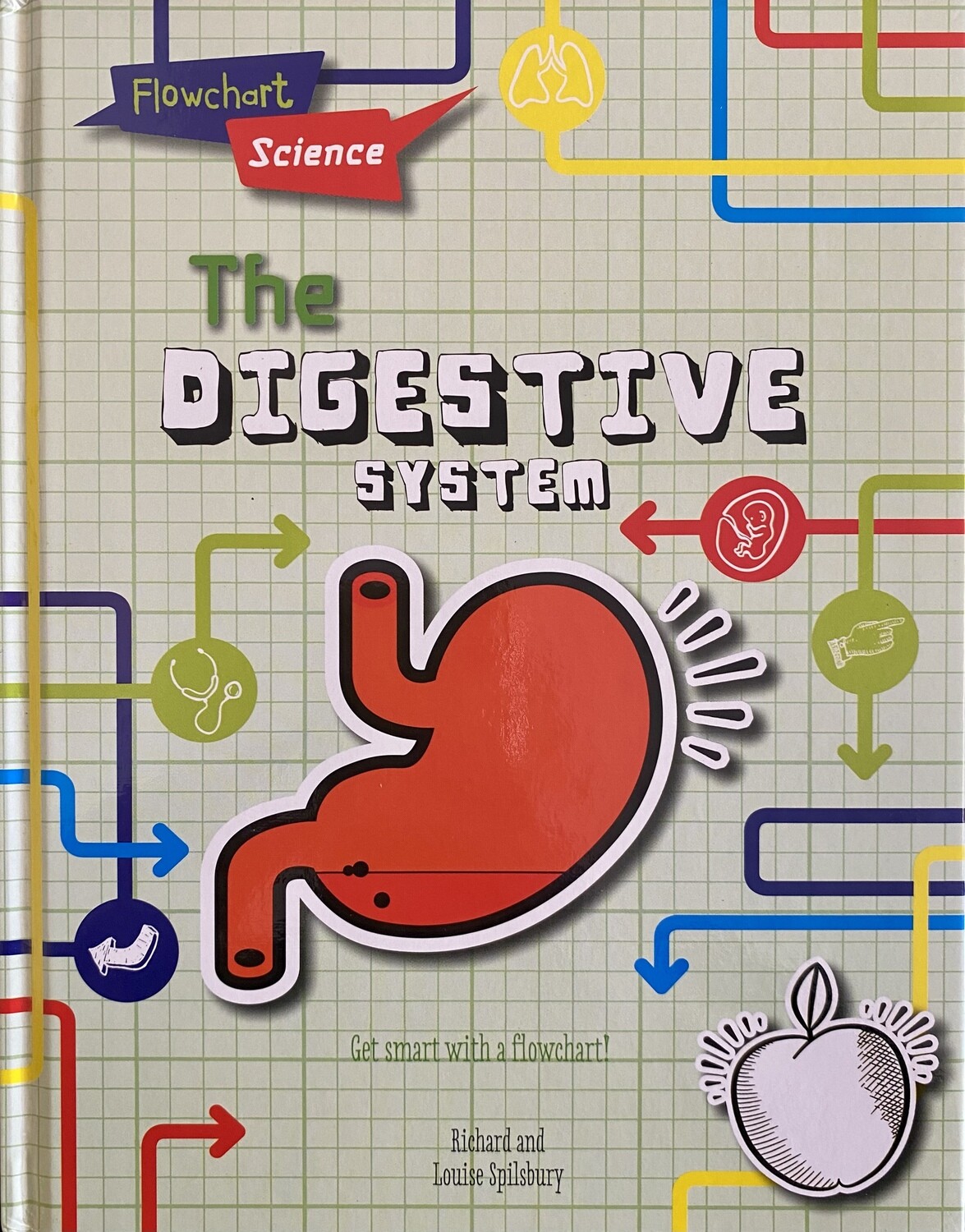 Flowchart Science: The Digestive System