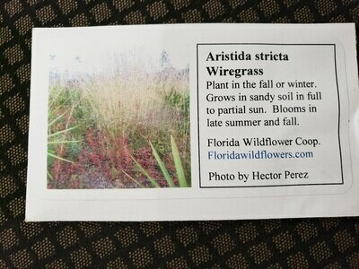 Buy Florida Friendly Plants - Largo and St. Petersburg