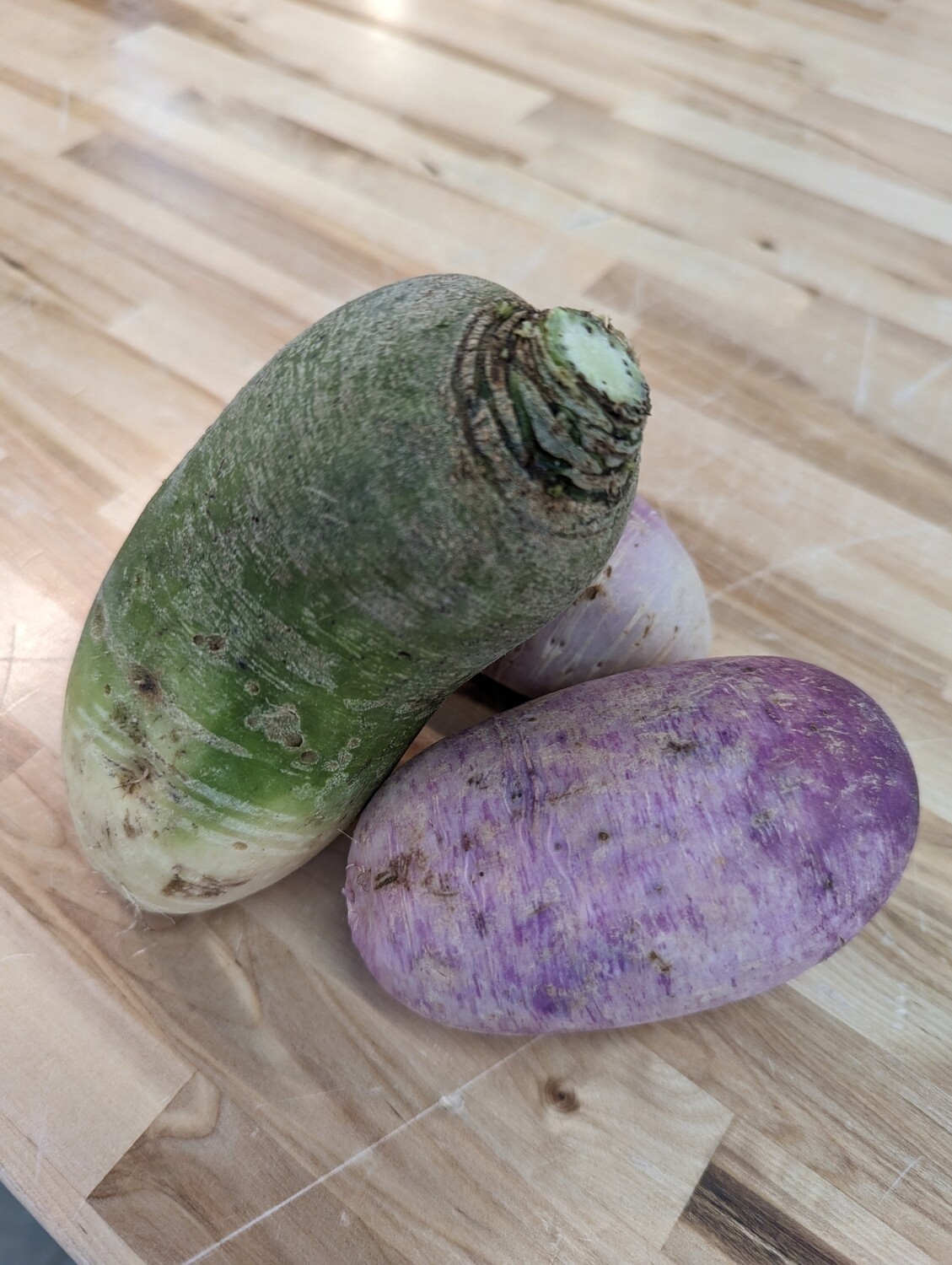 Beauty Heart Radish (lb) - Driftless Organics