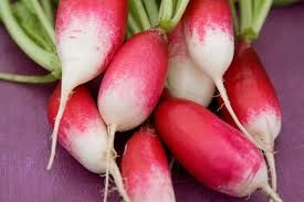 Red Radishes (1 lb)