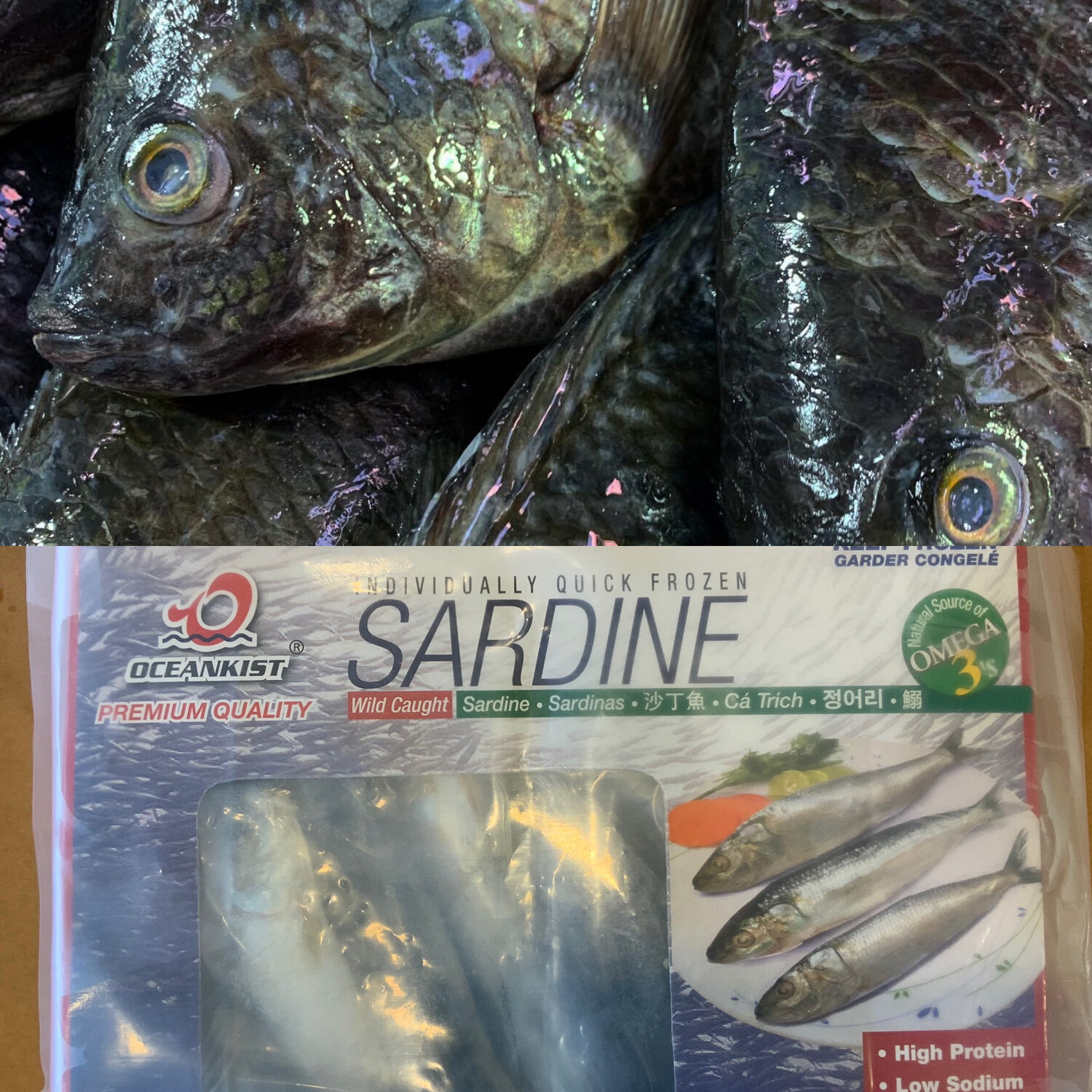 FROZEN WHOLE FISH