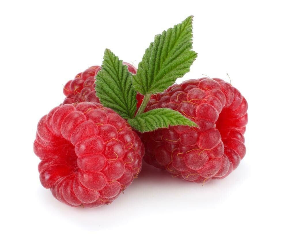 FW 2Gal Willamette Raspberry – Store – The Plant Foundry