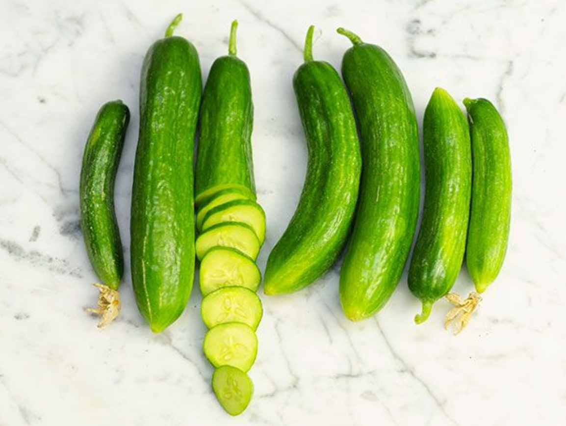 Baker Creek Cucumber Beit Alpha – Store – The Plant Foundry