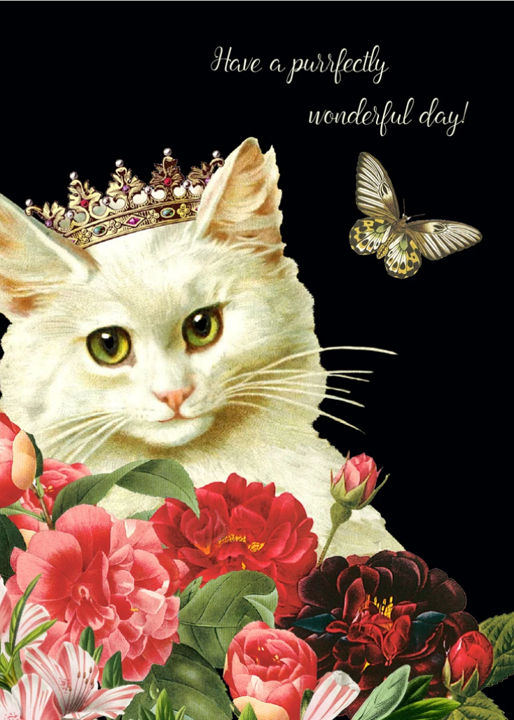 PFD Have a Purrfectly Wonderful Day 5×7 Card C-HAP – Store – The Plant ...