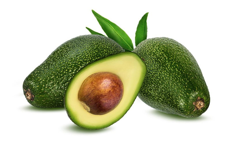 FW 5Gal Avocado Pinkerton – Store – The Plant Foundry
