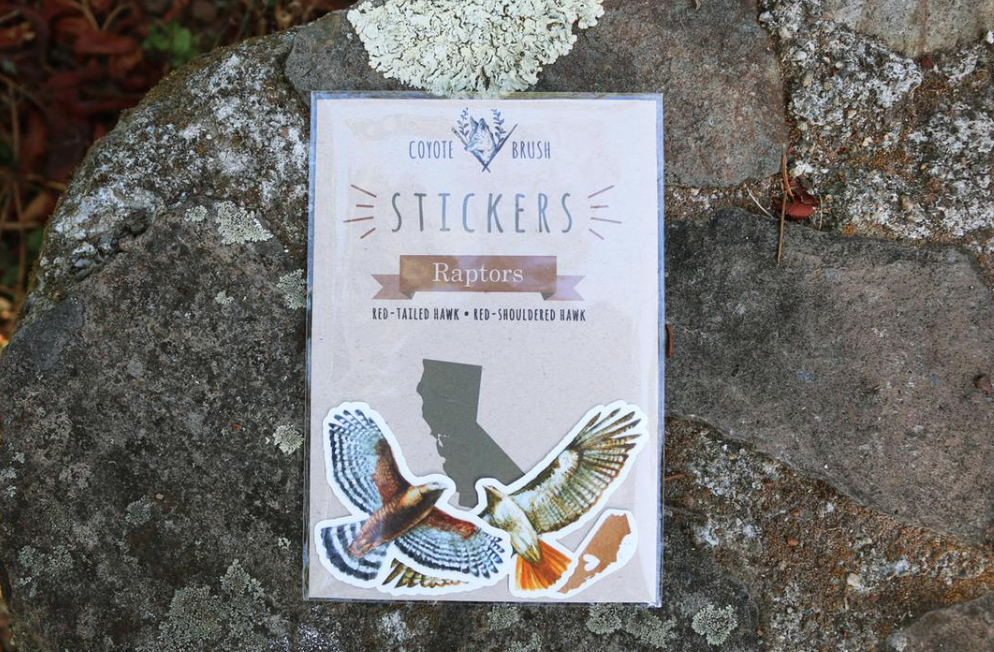 CBS Raptor Stickers (#S10117) – Store – The Plant Foundry