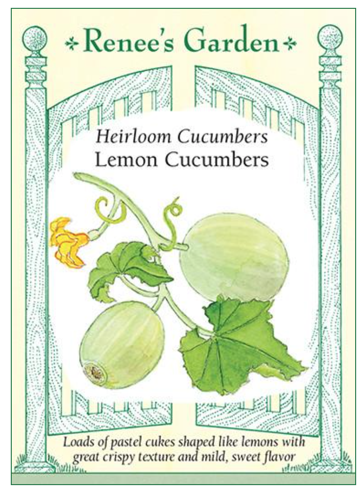 Renee’s Cucumber Lemon – Store – The Plant Foundry
