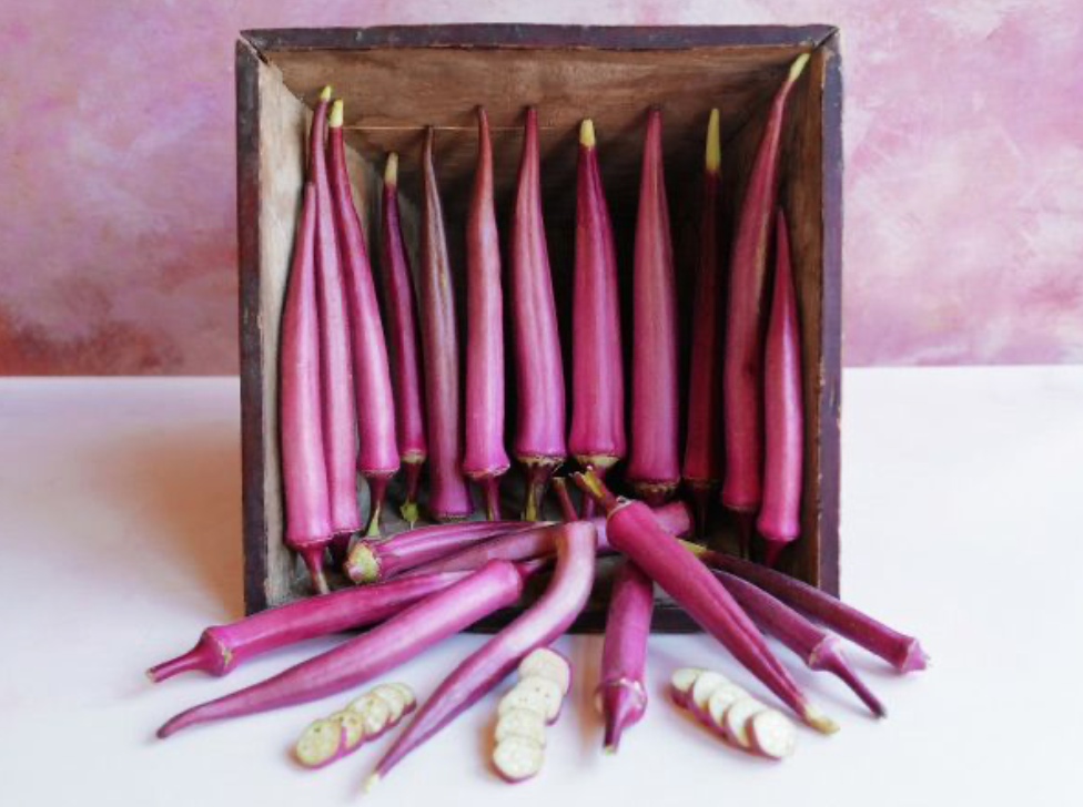Baker Creek Okra Okinawa Pink – Store – The Plant Foundry