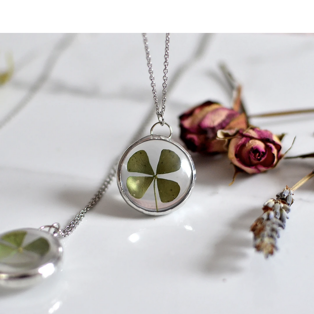 Eight Acorns – Store – The Plant Foundry