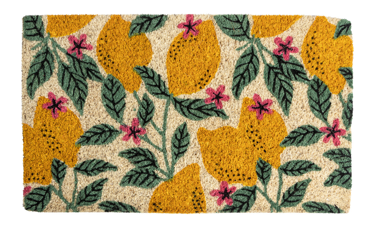 Entryways Lemons Handwoven Coconut Fiber Doormat 18″x30″ (2329S ...