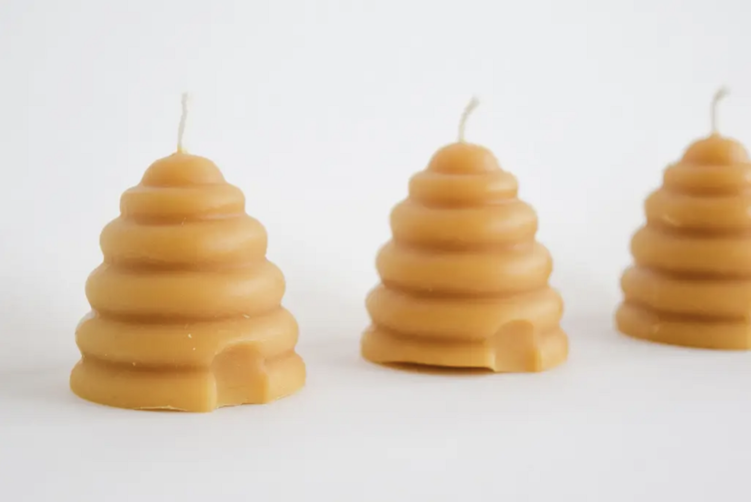 The Bee Box Beeswax Beehive Candle – Store – The Plant Foundry