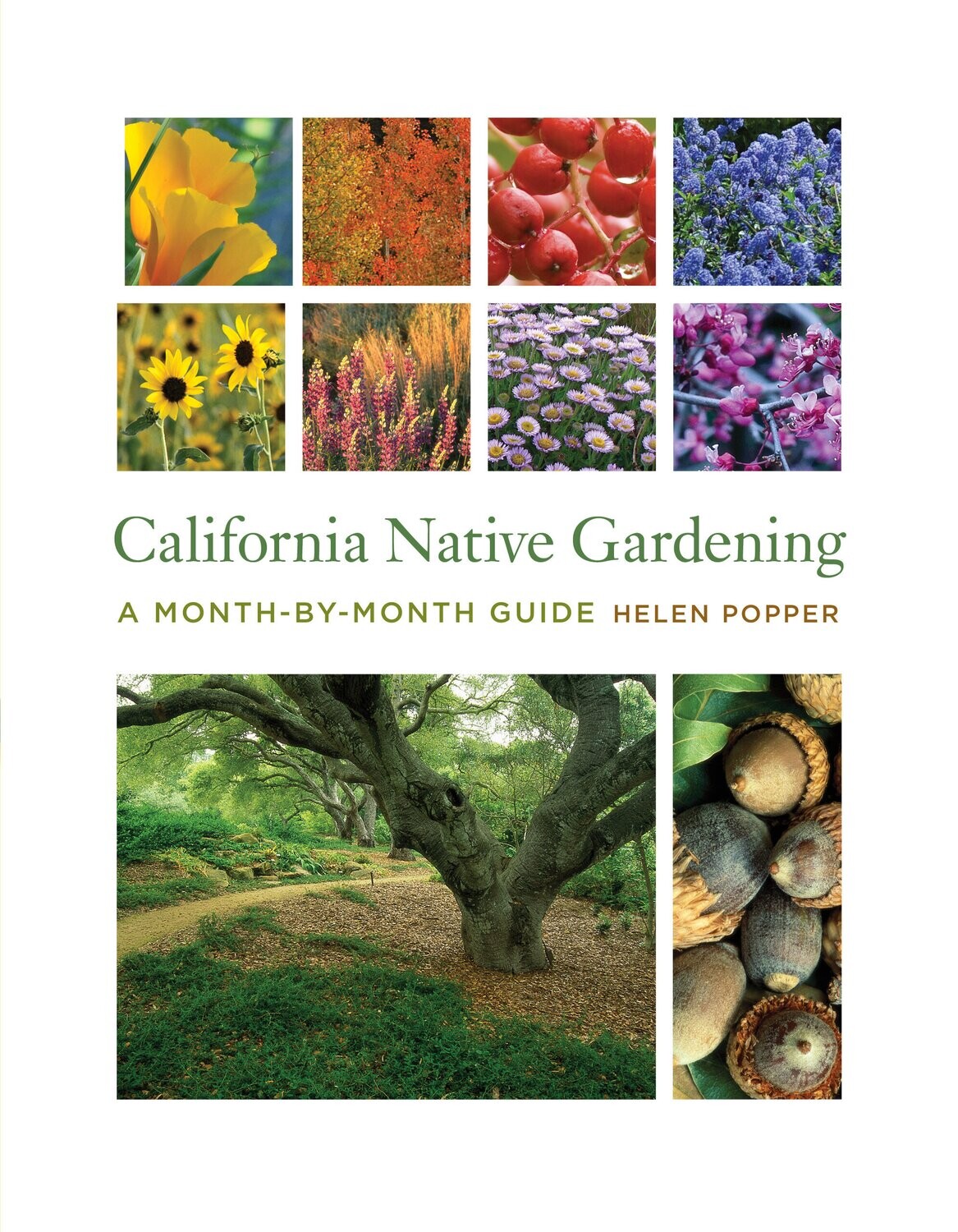California Native Gardening – Book – Store – The Plant Foundry