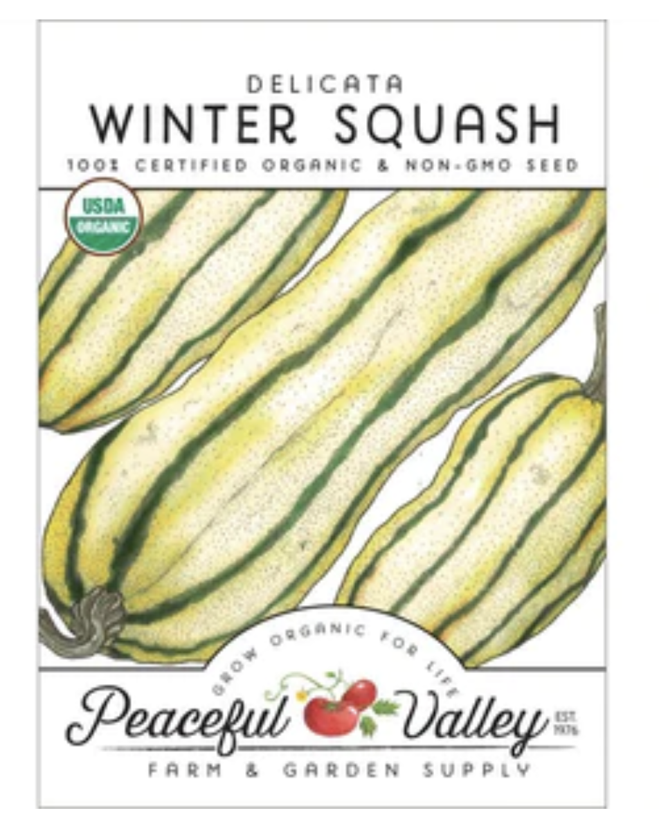 PV Squash Winter Delicata Org SNV8339 – Store – The Plant Foundry