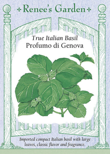 Renee’s Basil Profumo Di Genova 1070 – Store – The Plant Foundry