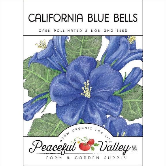 PV California Blue Bells Org SWF709 – Store – The Plant Foundry