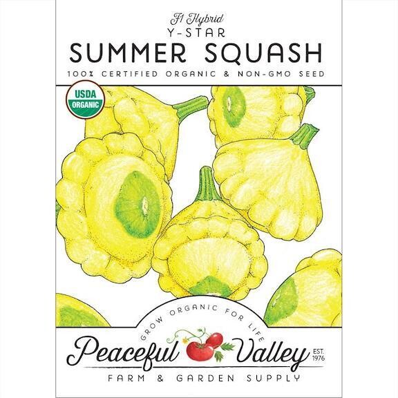 PV Squash Summer Y-Star Org SNV8593 – Store – The Plant Foundry