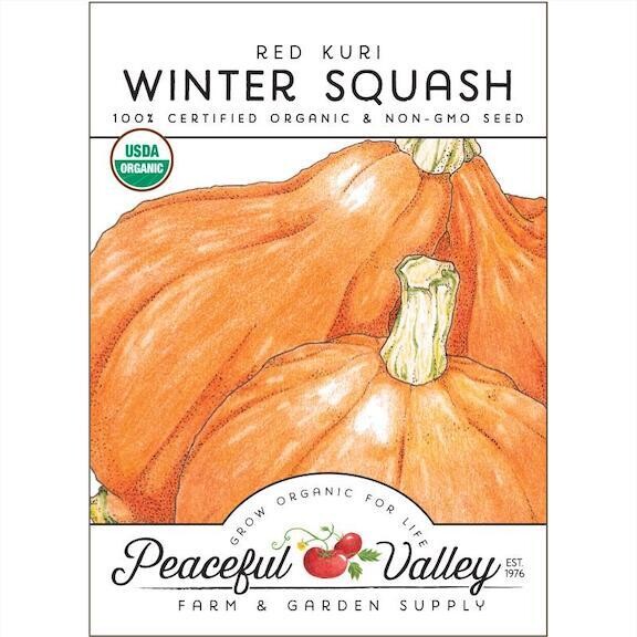 PV Squash Winter Red Kuri Org SNV8632 – Store – The Plant Foundry