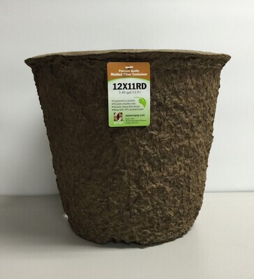 Pulp Pots – Store – The Plant Foundry