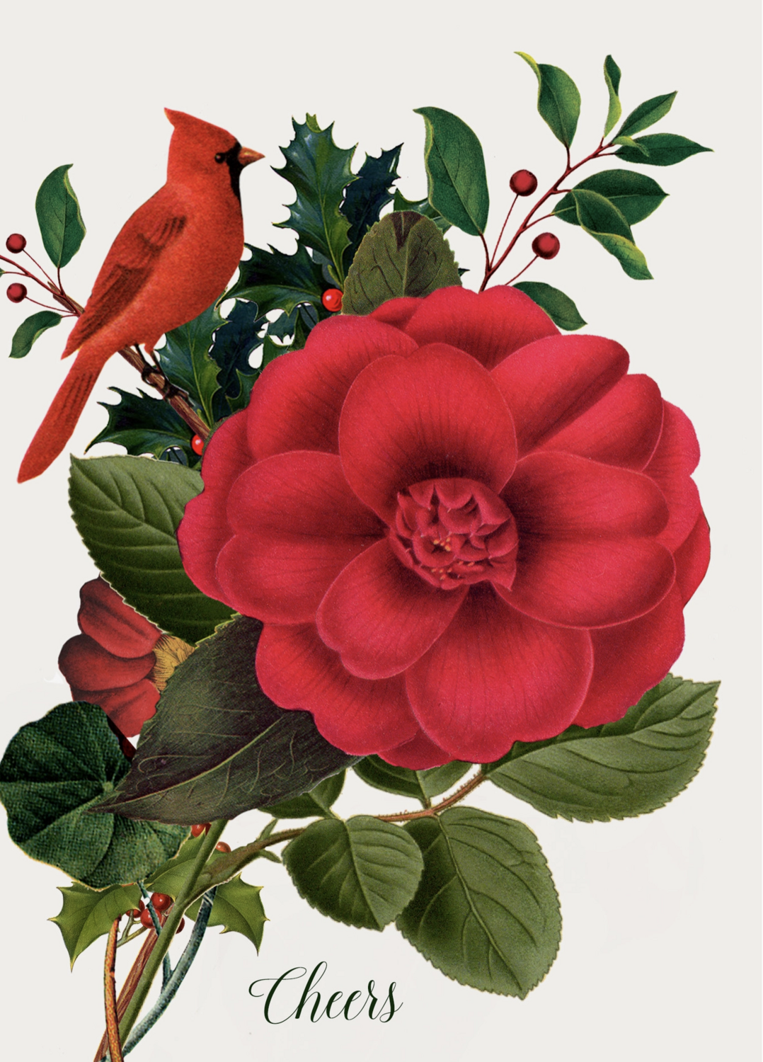 Pfd Cheers 5×7 Card Hc Ch Store The Plant Foundry