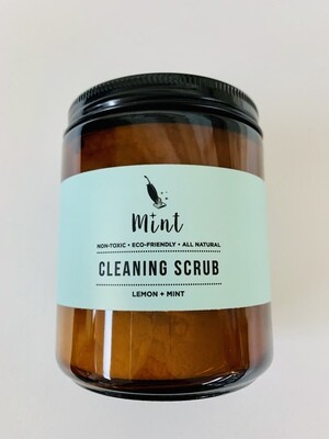 Mint Cleaning Products