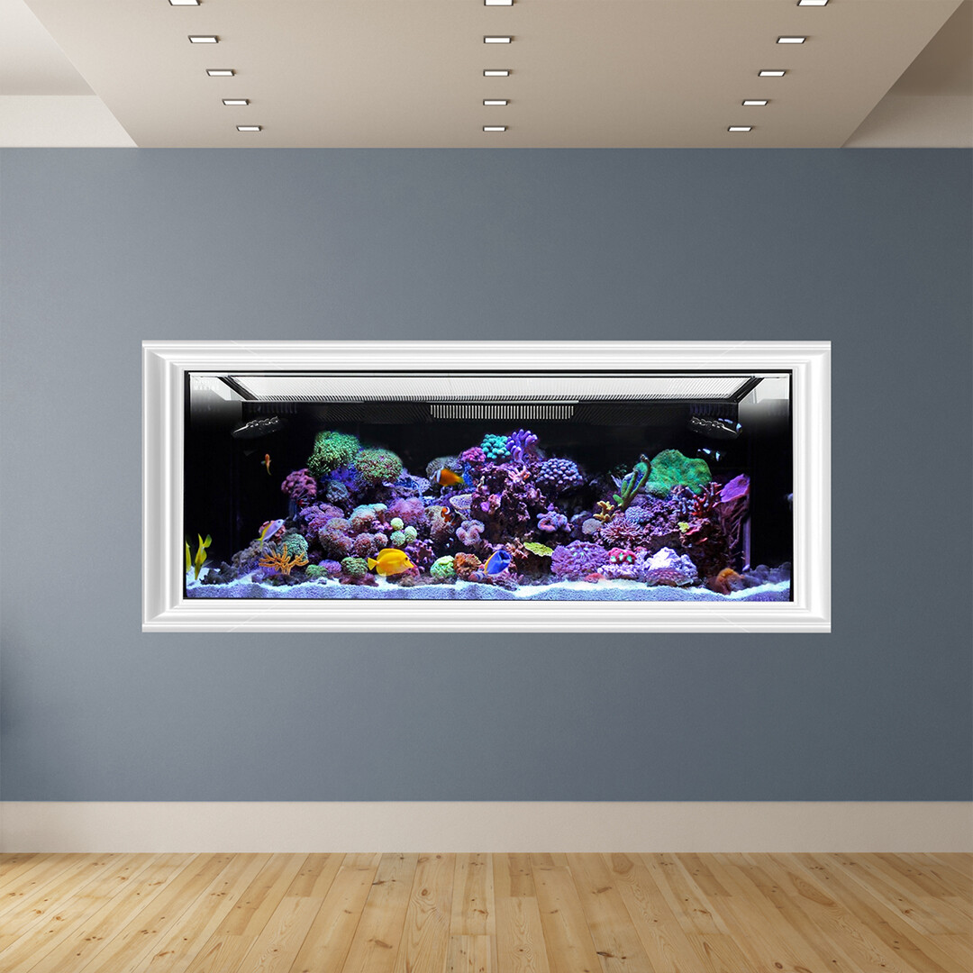 NUVO EXT 170 Gallon Reef Ready Aquarium Tank Only