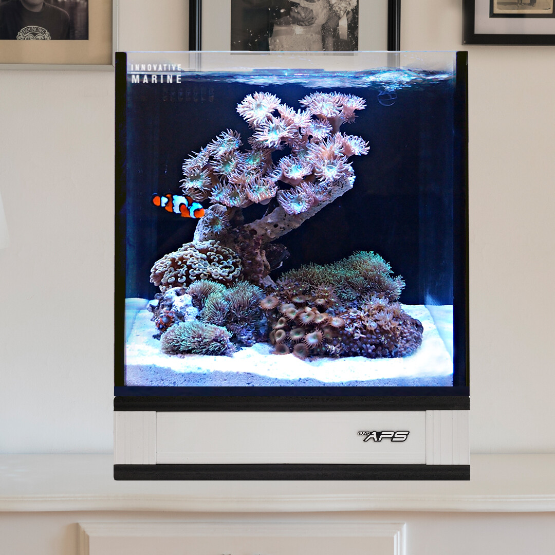 15 Gallon rimless cube AIO Aquarium Starter Kit w/ APS Pedestal - White