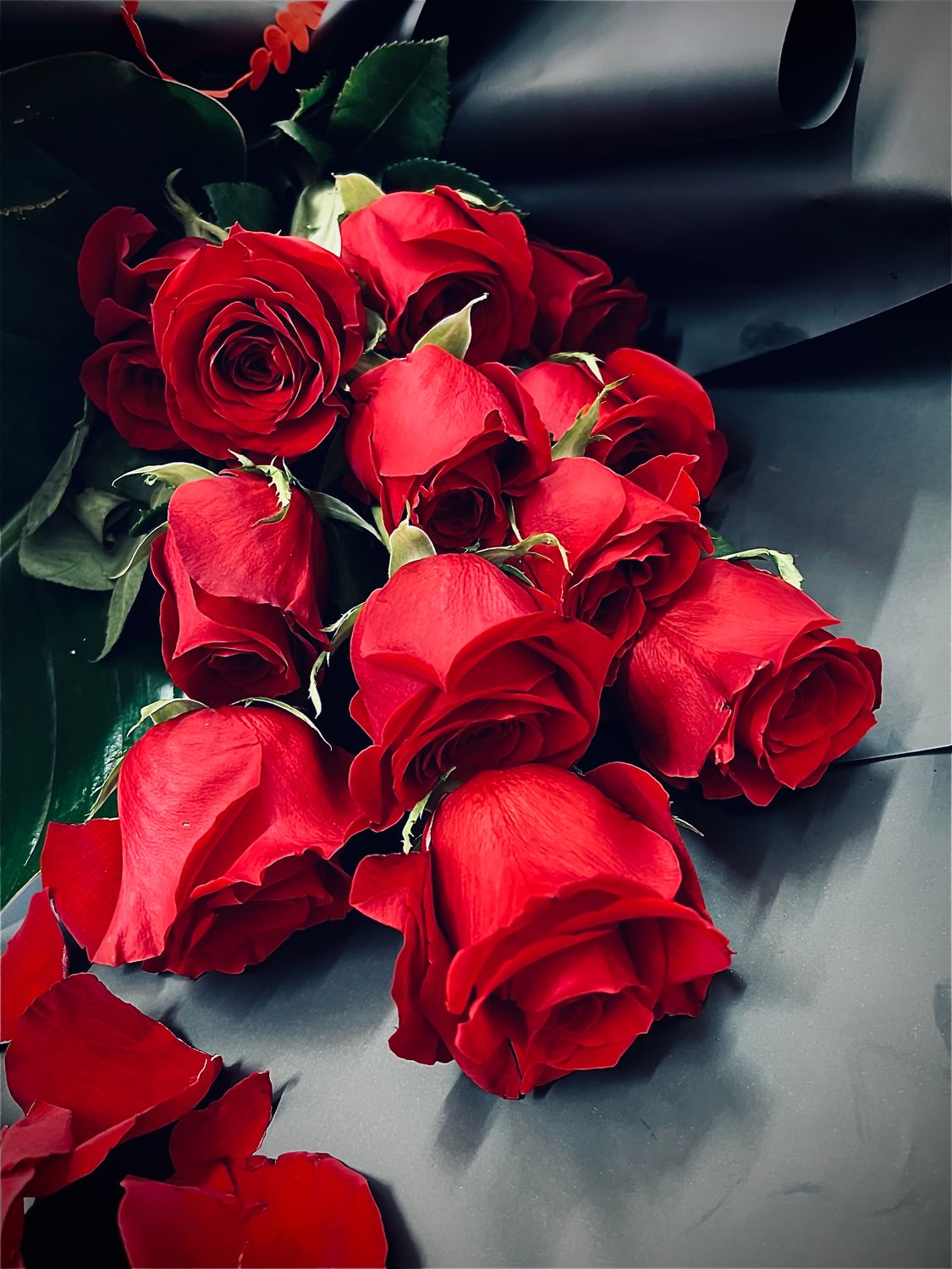 Valentine’s Day - Classic Style Roses