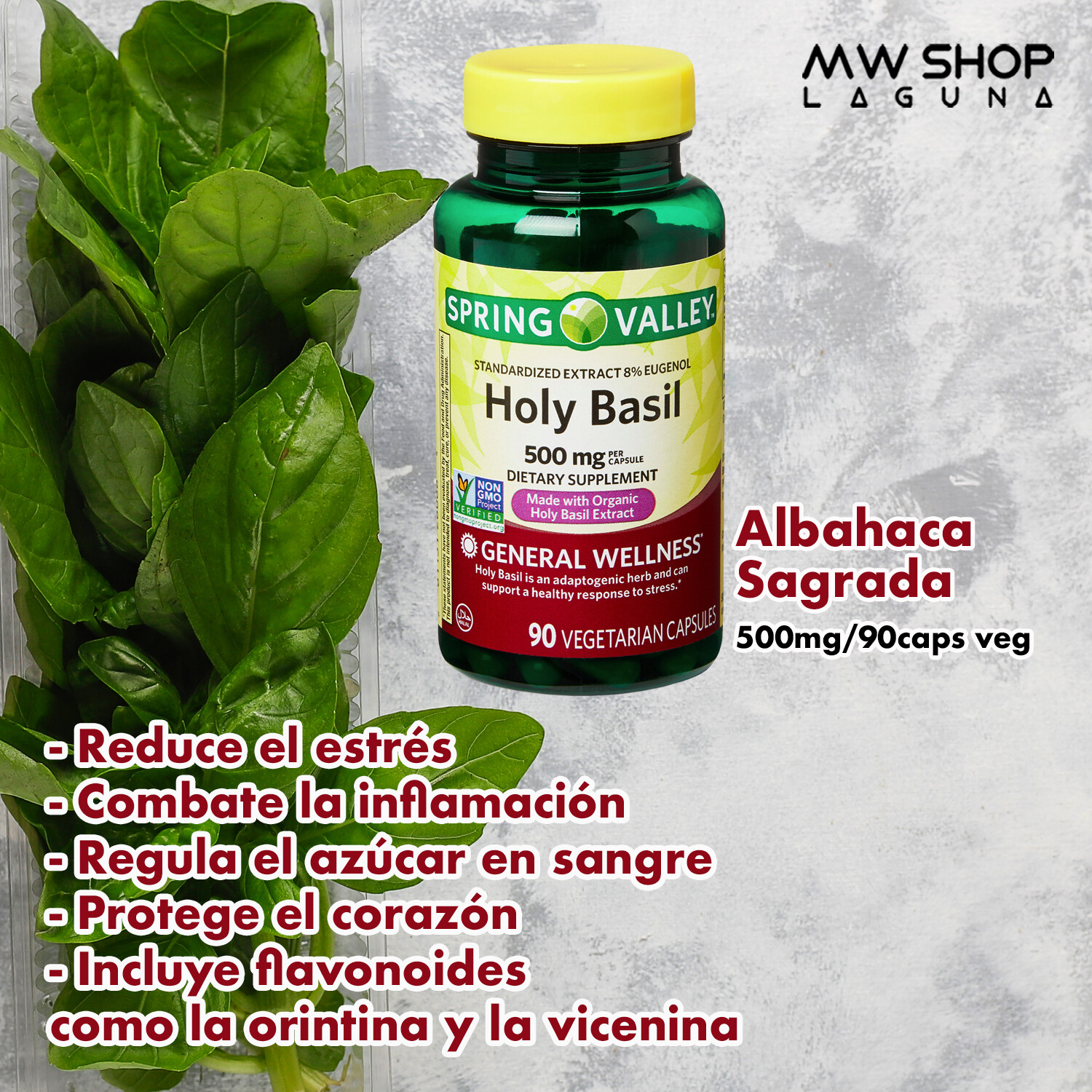 Holy Basil / Albahaca Sagrada 500mg 90 Caps. Veg.