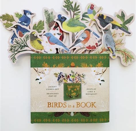 ABR Birds in a Book