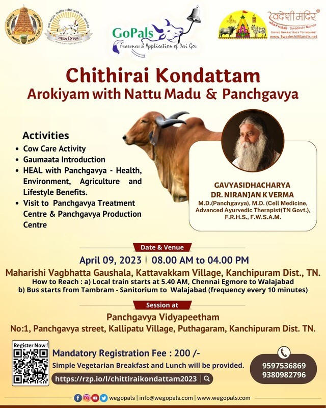 Visit To Naatu Pasu (Desi Cow's) Goushala, Learn About Gou mata ...