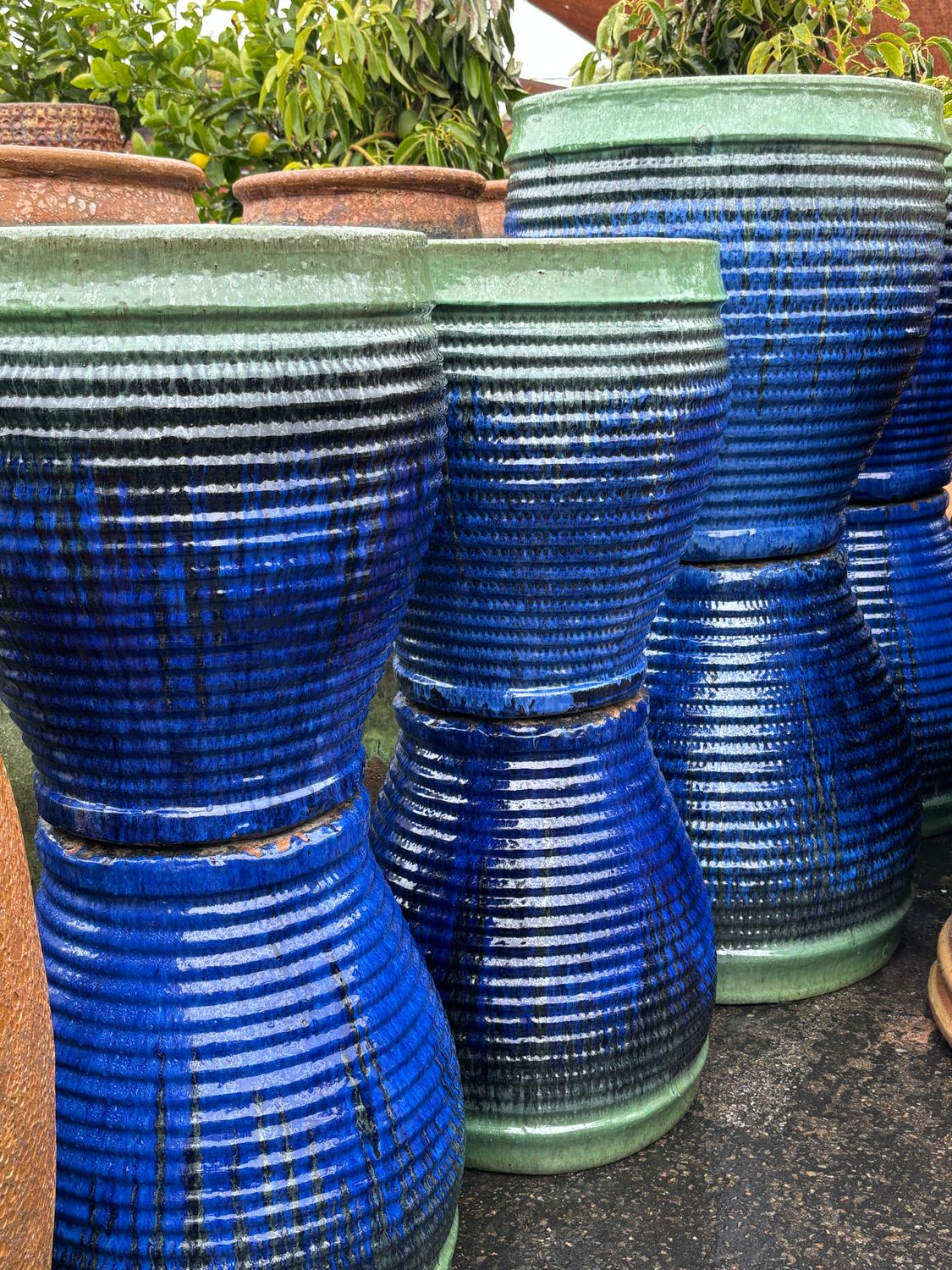 Blue Rib Pots With Green Rim - Store - Terra Sol Garden Center